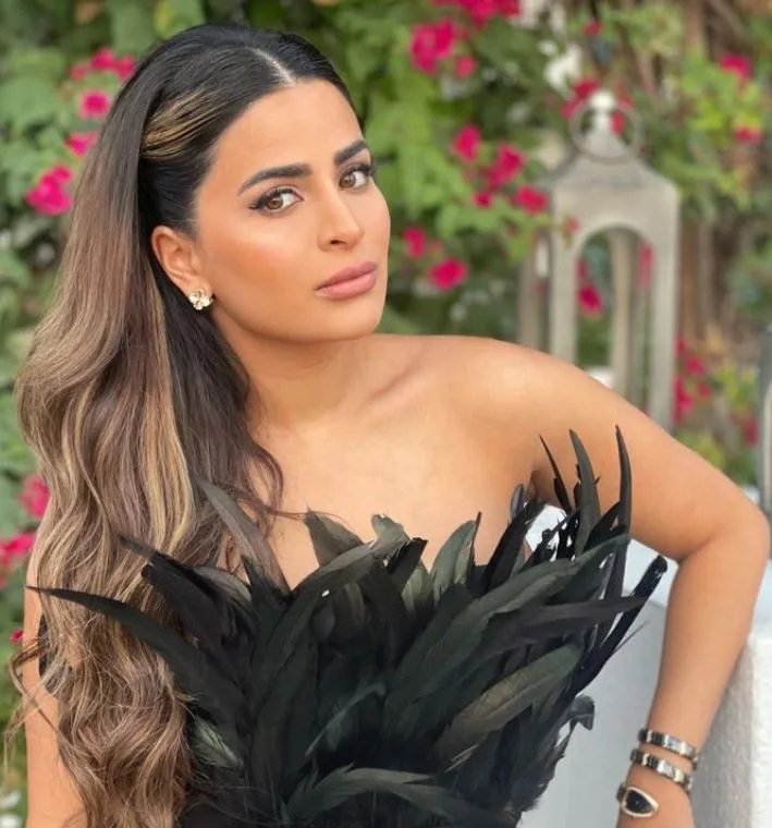 Safa Siddiqui (Dubai Bling) Age, Wiki, Husband, Boyfriend, Height ...
